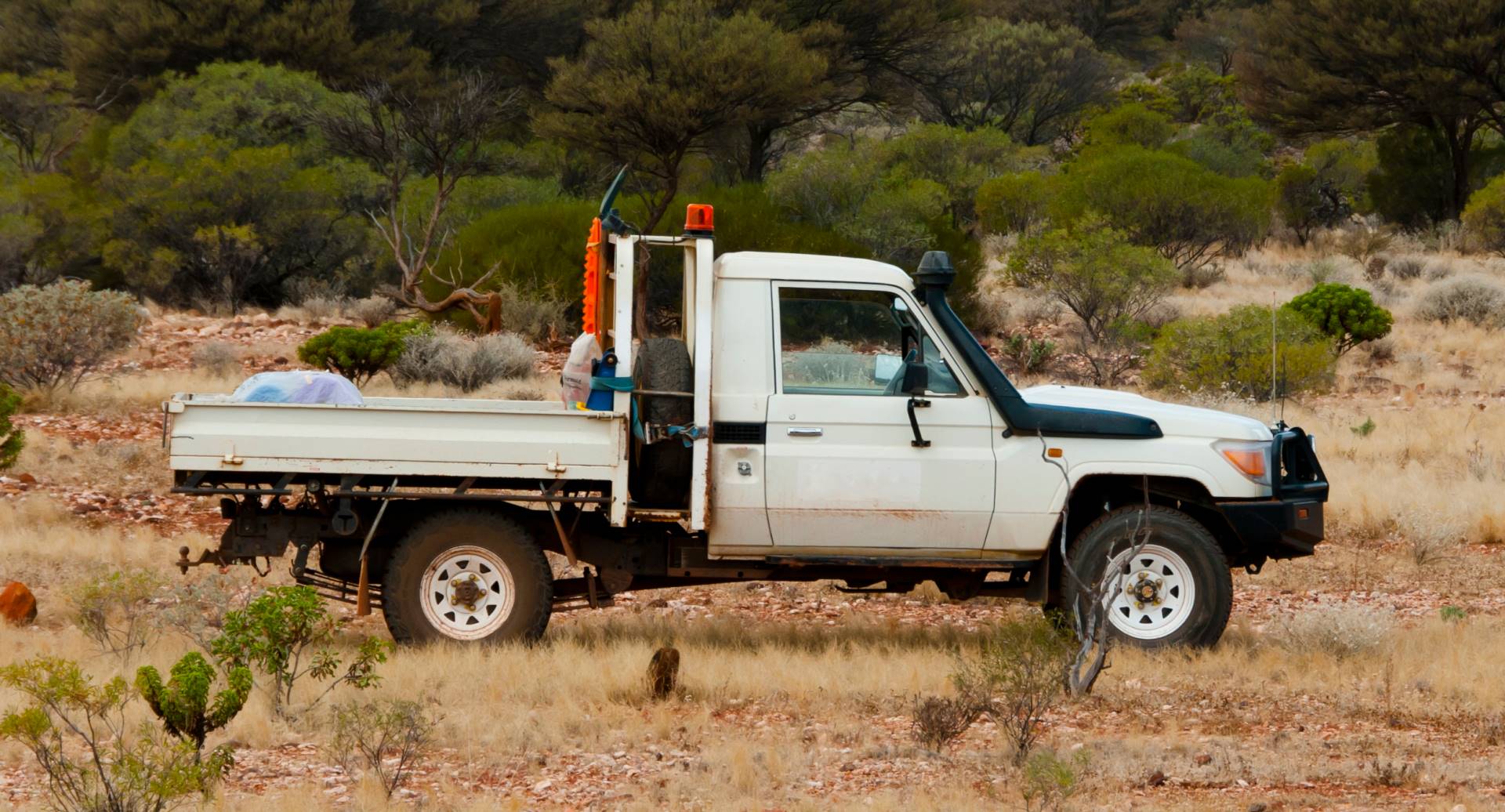 How to choose a vehicle for your company