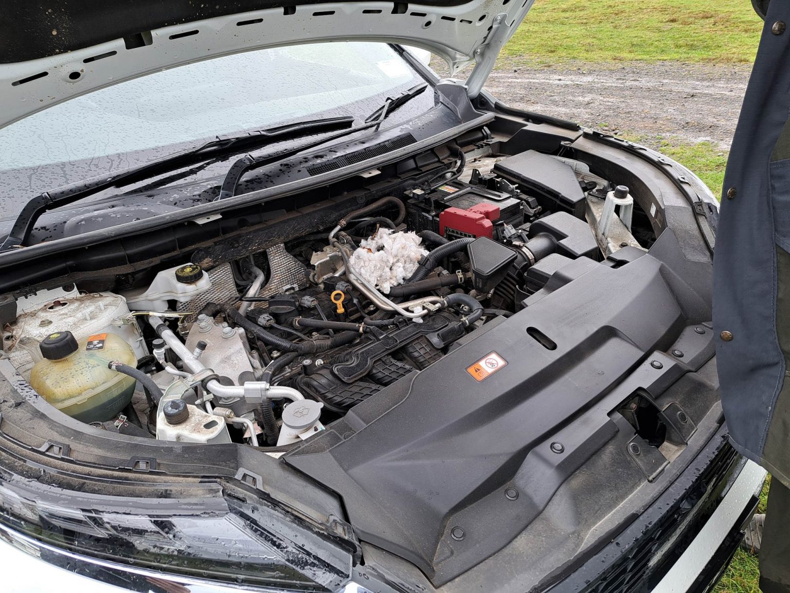 How do I get rid of rats in my engine?