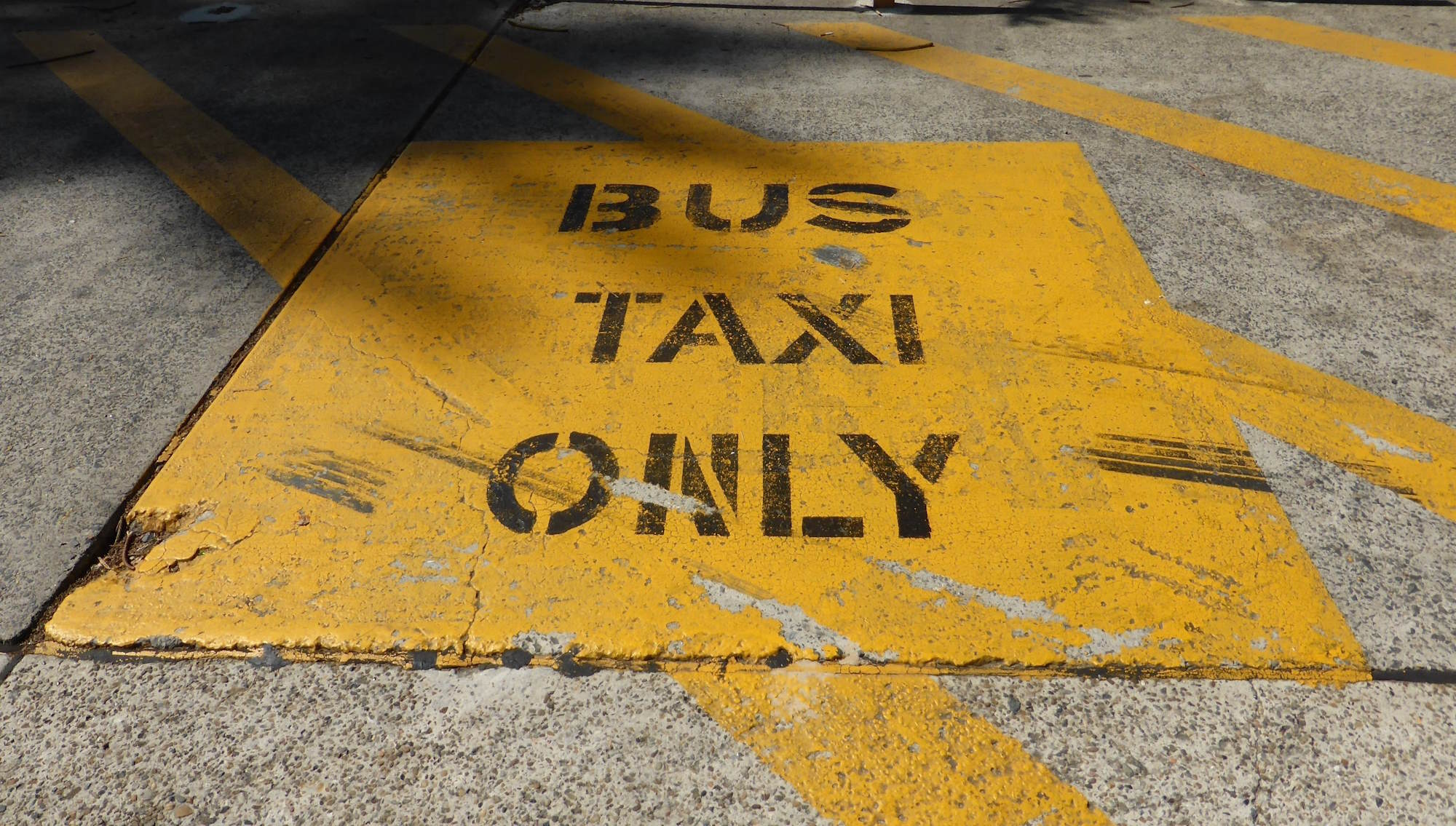 How do bus and taxi drivers go the extra mile for professional ...